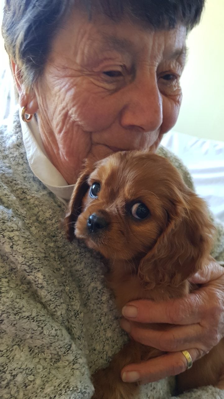 Carol Julia Taylor - Funeral Announcement